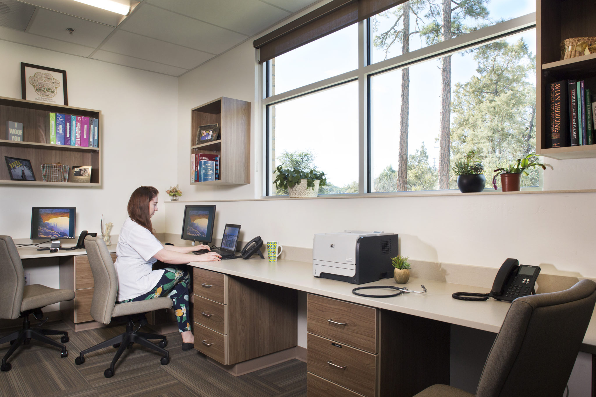 Tour Our Pet Hospital | Prescott Animal Hospital