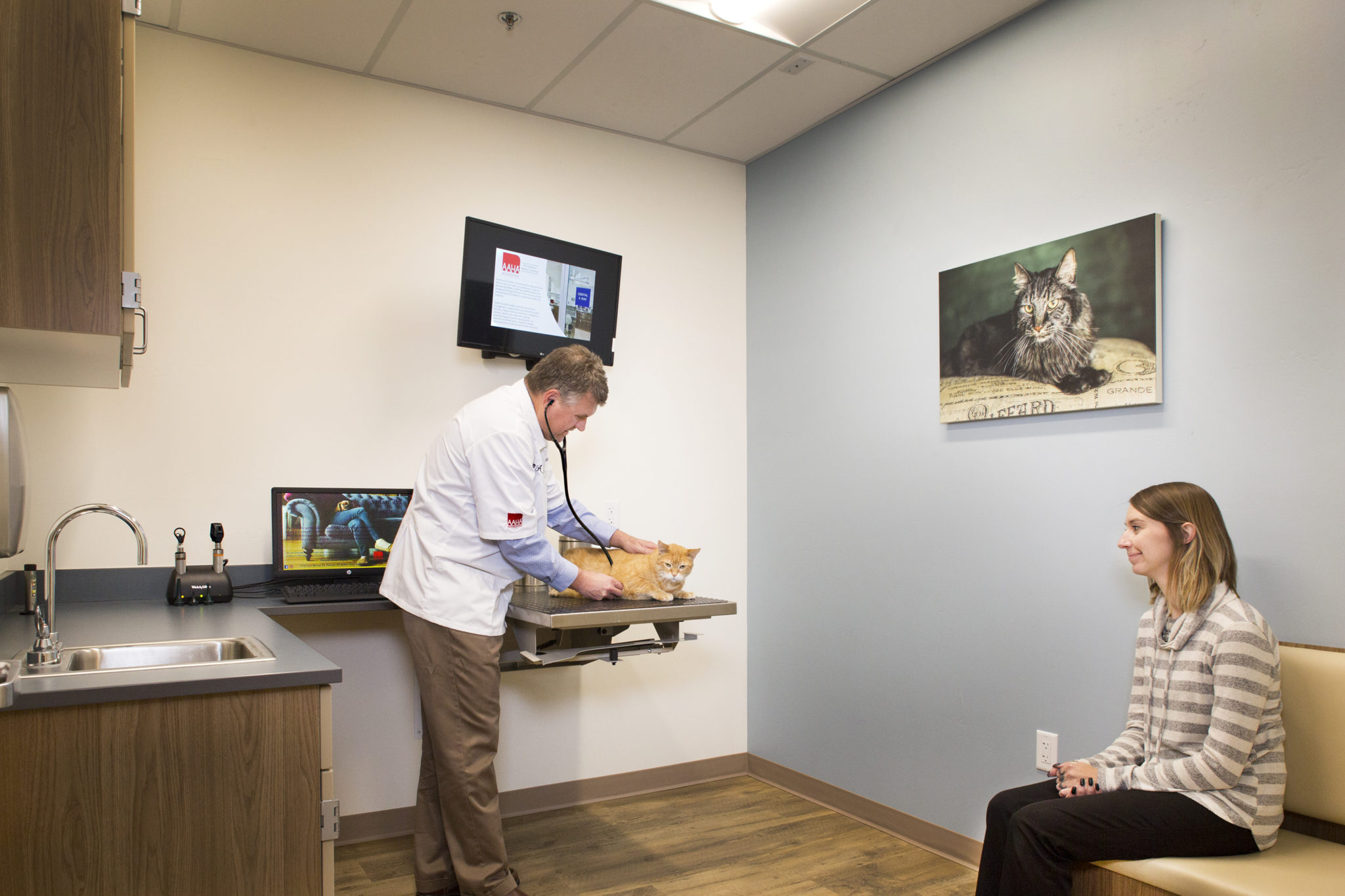 Tour Our Pet Hospital | Prescott Animal Hospital
