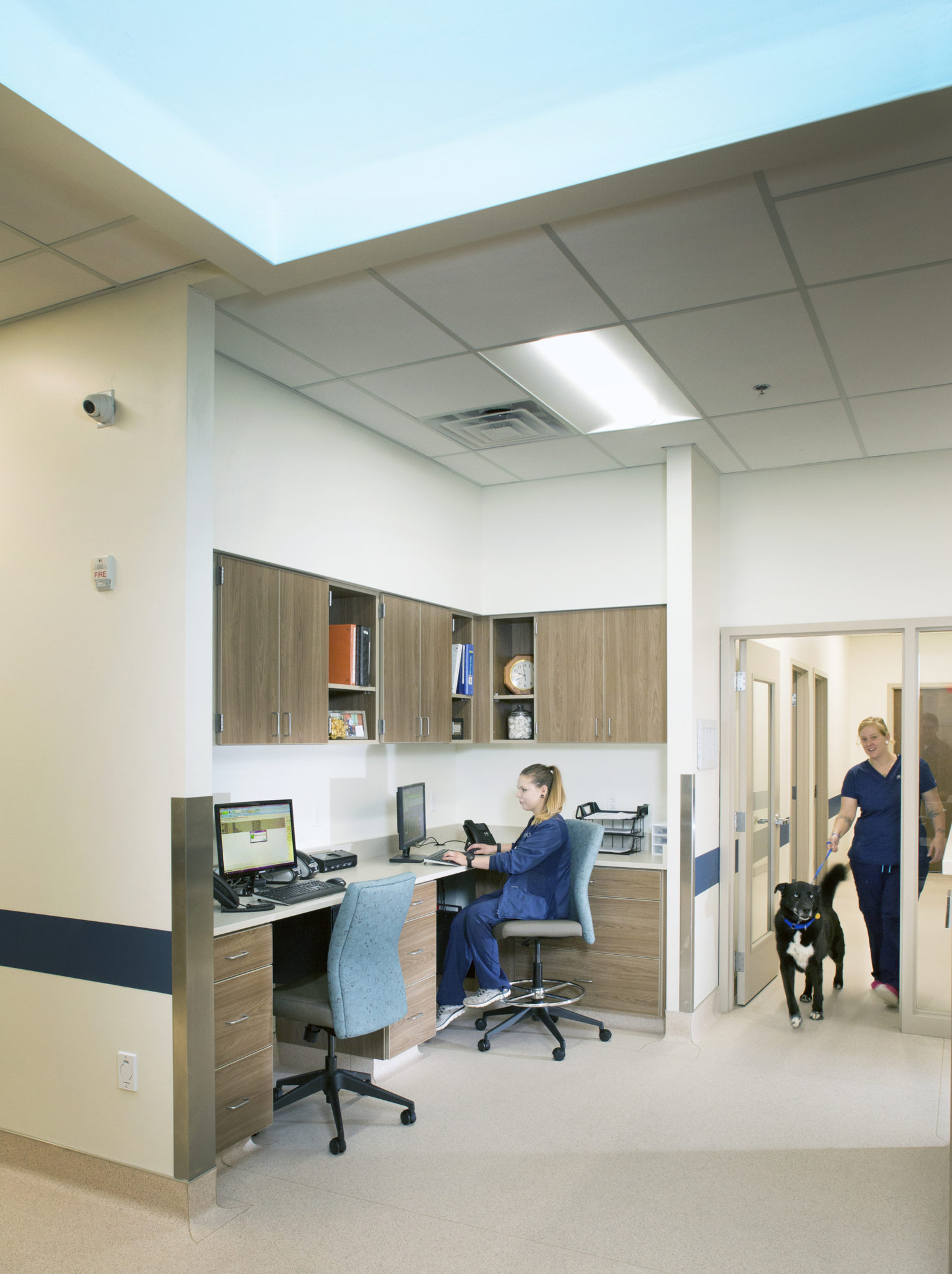 Tour Our Pet Hospital | Prescott Animal Hospital